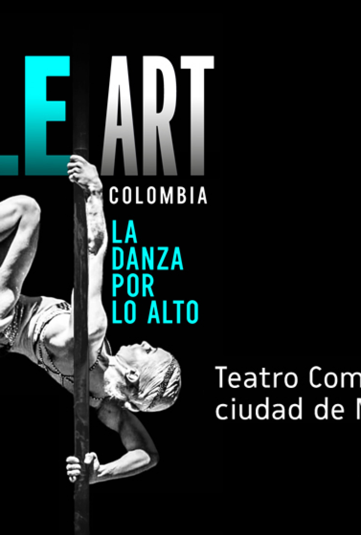 POLE ART | La Tiquetera